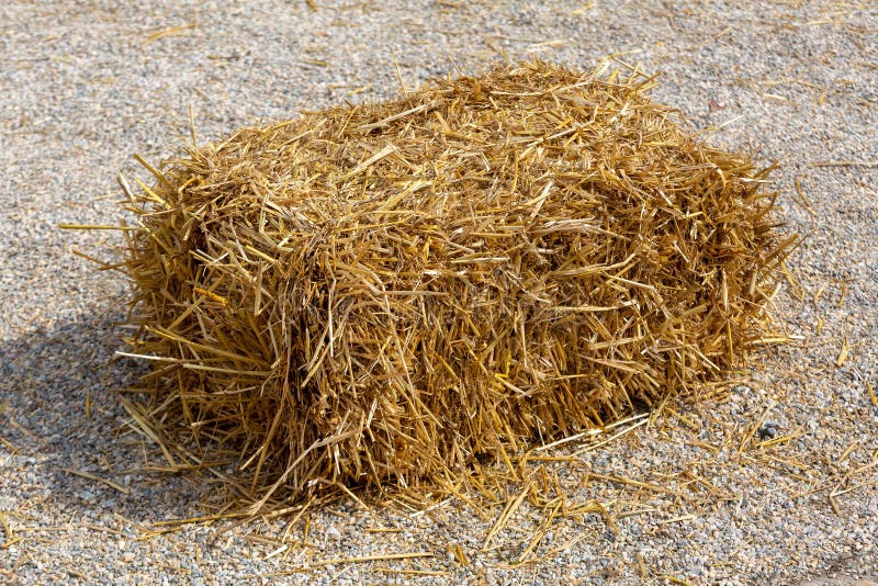 One Hay Straw Bale stock image. Image of outside, farming - 209533653