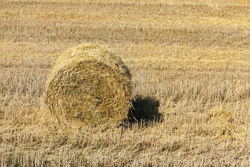 Big haystack stock photo. Image of color, harvest, morning - 102902658
