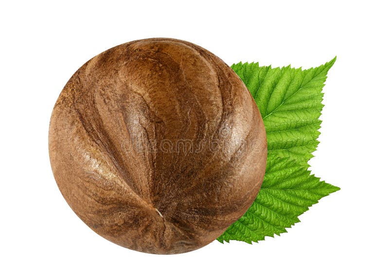 Phorography View Stock Photos - Free & Royalty-Free Stock Photos from ...