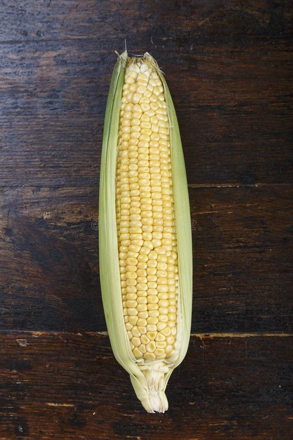 Sweet Corn with Husk Isolated on a White Background. File Contains ...