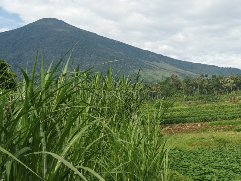 One of the Highest Mountains on the Indonesian Island of Java Stock ...