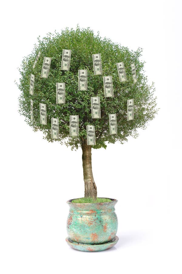 Money tree stock photo. Image of banking, cash, finance - 13719610
