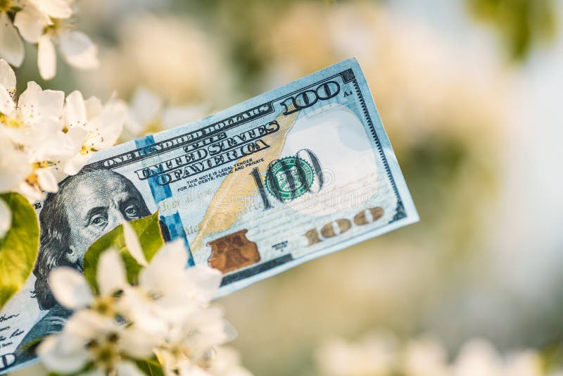 Apple Dollar Signs Stock Photos - Free & Royalty-Free Stock Photos from ...