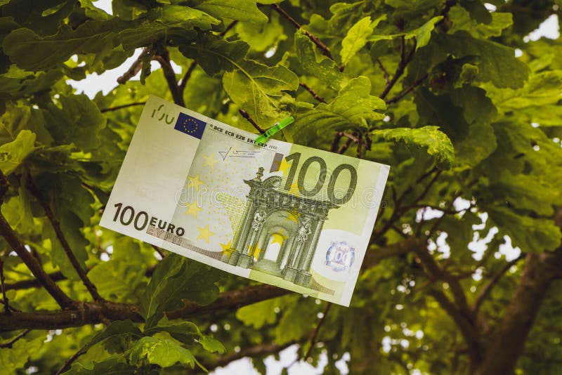 One Hundred Euro Bill on the Tree Stock Photo - Image of earnings ...