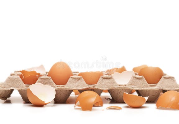 One intact egg stock photo. Image of shape, eggshell - 23426932