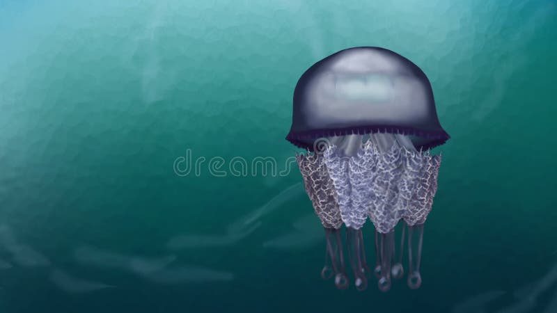 Jellyfish life cycle stock illustration. Illustration of polypodiozoa ...
