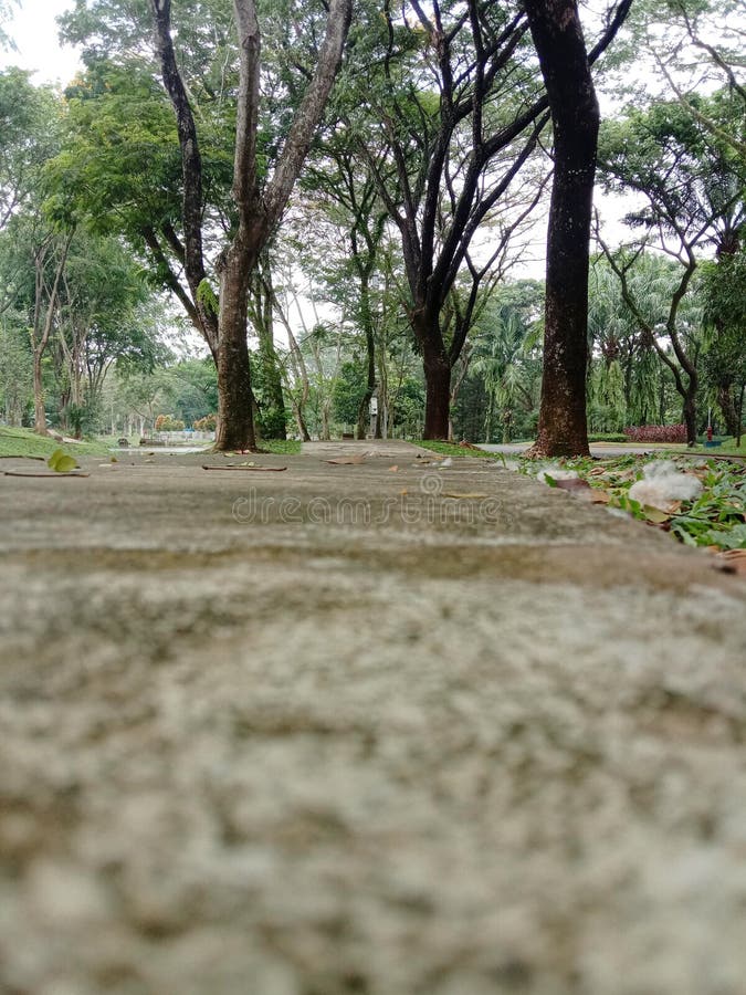 One of the Jogging Tracks in the Residential Area Stock Photo - Image ...