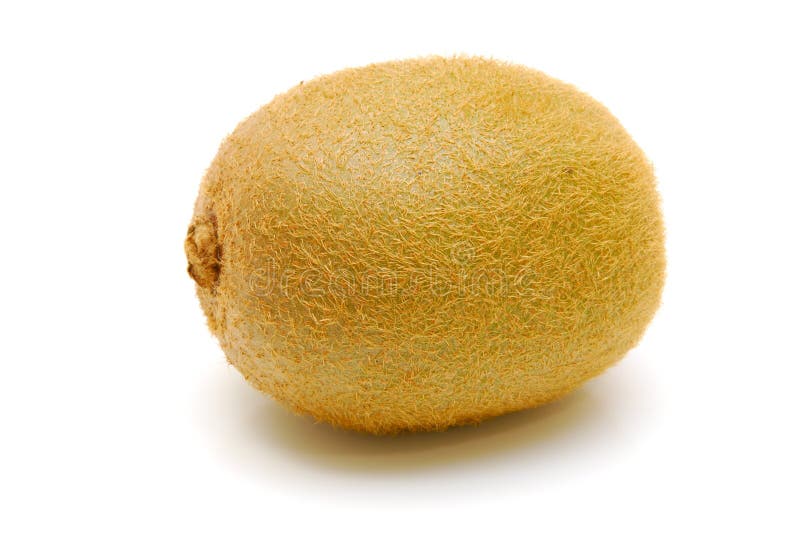 One kiwi fuit isolated stock photo. Image of juicy, nutrition - 16241144