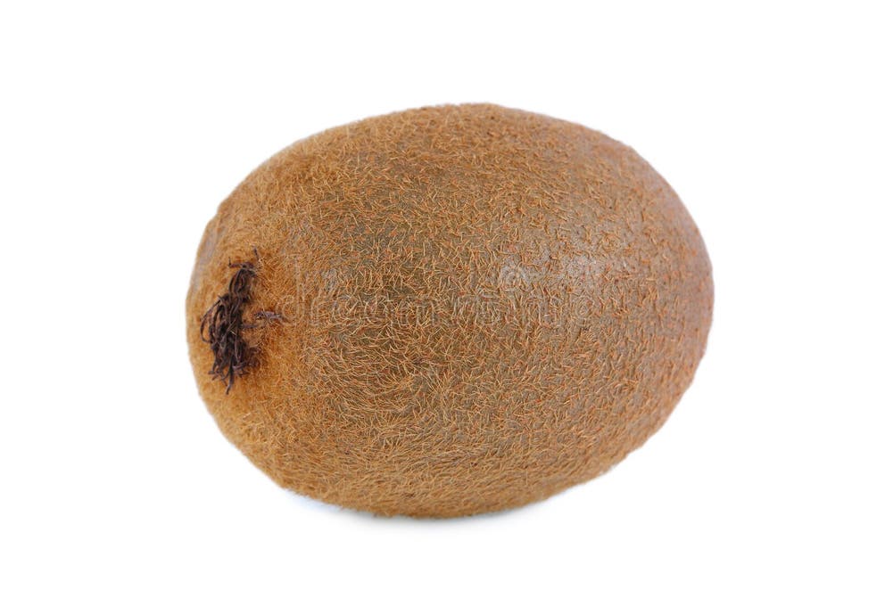 One kiwi isolated on white stock image. Image of candid - 62368993