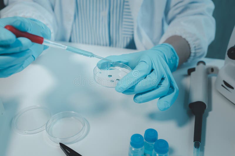 One of the Laboratories Where Experiments are Being Conducted, a ...