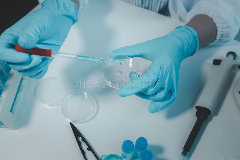 One of the Laboratories Where Experiments are Being Conducted, a ...