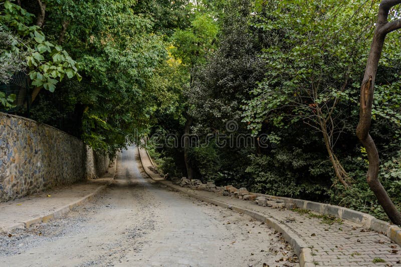 One Lane Rural Road Under Treeline Stock Image - Image of scenery ...
