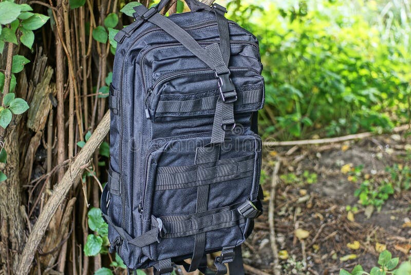 One Large Black Tactical Backpack Hanging on the Brown Branches Stock ...