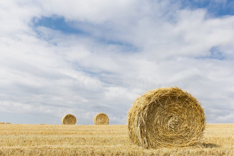One Large Close Up Hay Bale in Field Stock Photo - Image of golden ...