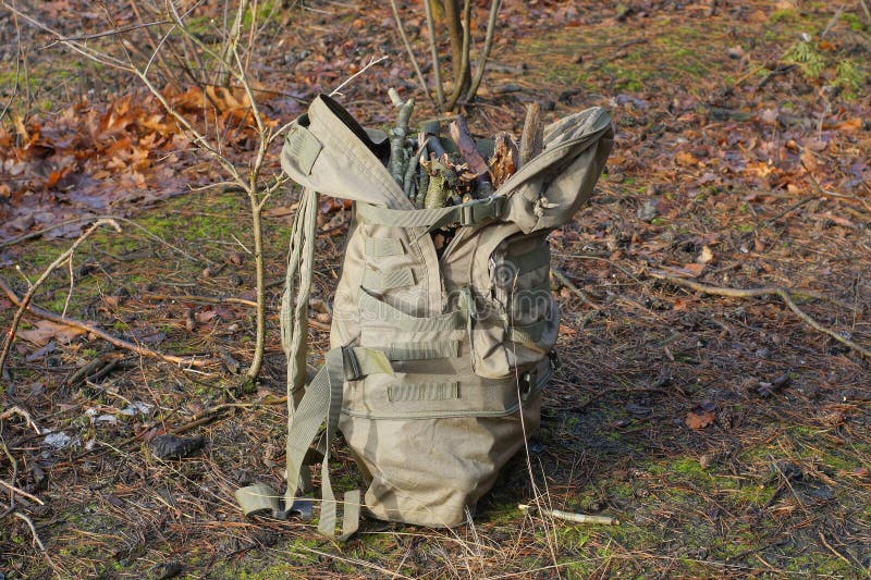 One Large Open Full Green Army Backpack with Small Branches and ...