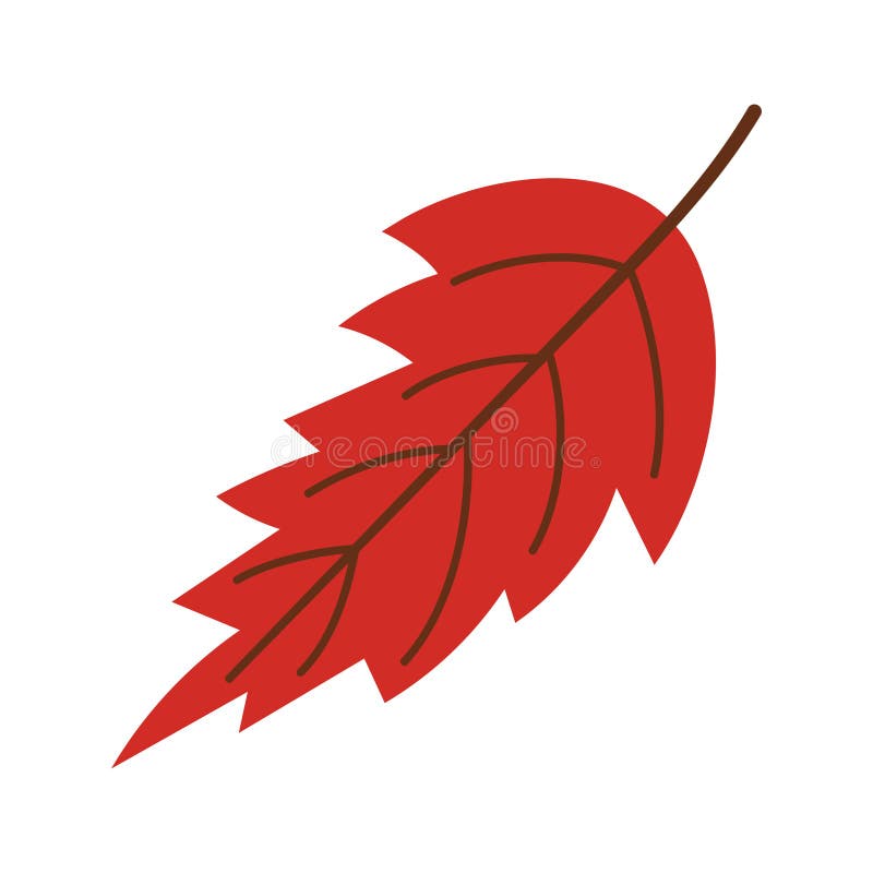 One Leaf, Red. Autumn Concept, Leaf Fall Stock Vector - Illustration of ...