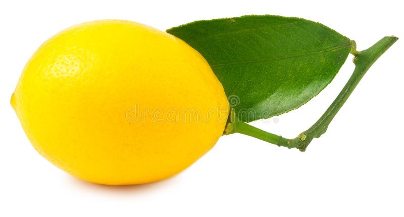 One Lemon Isolated on White Stock Photo - Image of lemon, objects: 62967452