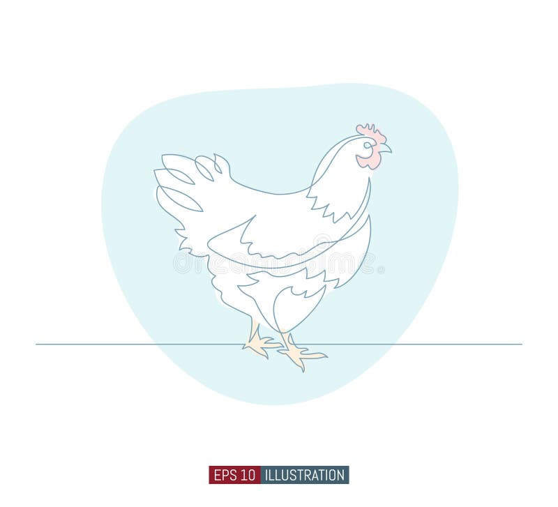 Continuous Line Drawing of Chicken. Vector Illustration. Stock Vector ...