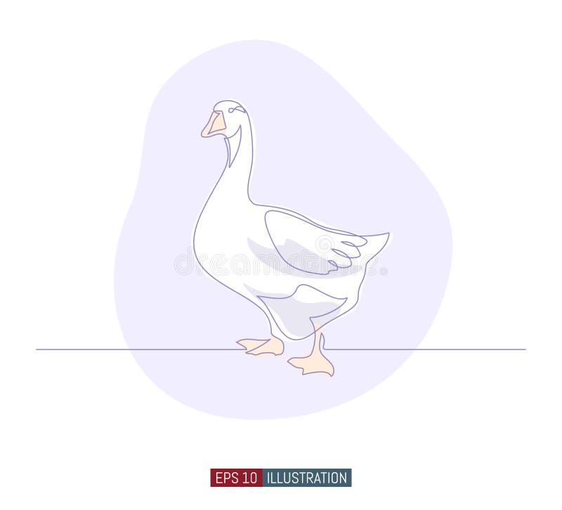 Continuous Line Drawing of Goose. Vector Illustration. Stock Vector ...