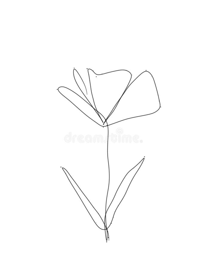 One line art flower stock illustration. Illustration of flower - 275997301