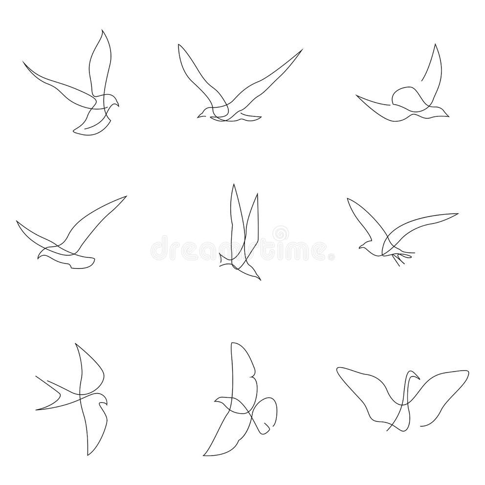 Continuous Line Drawing Hummingbird Stock Illustrations 224