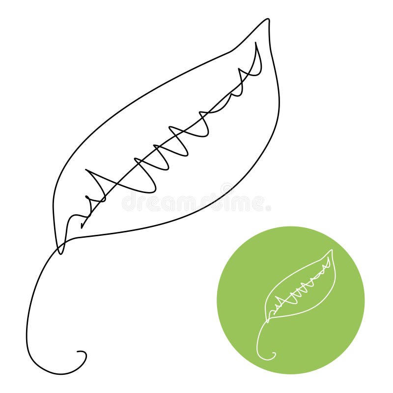 One Line Continuous Drawing of Vector Leaf. Contour Drawing Stock ...