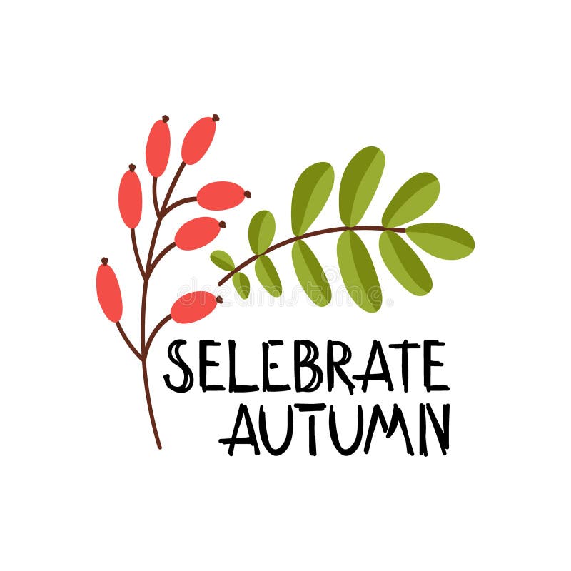 One Line Drawing of Autumn Leaf. Autumn Script Font and Leaves Isolated ...