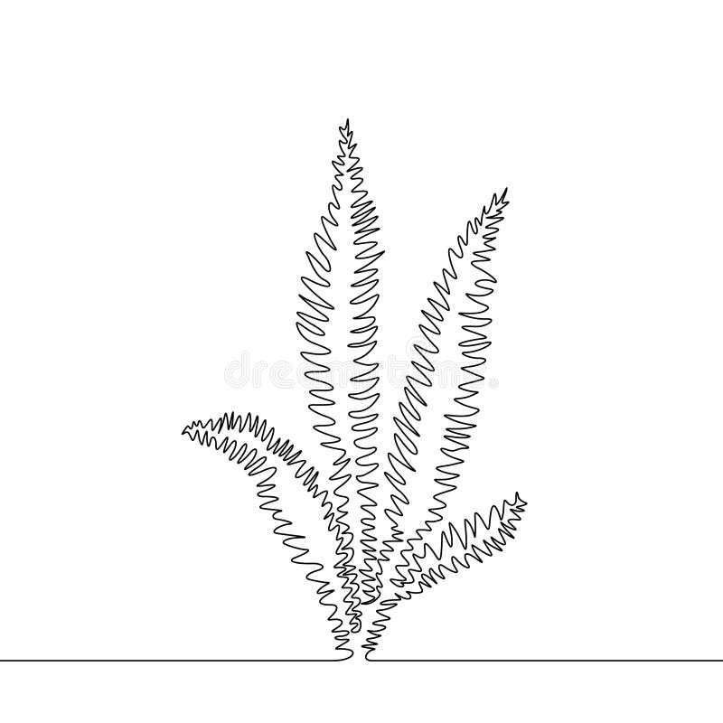 One Line Drawing Fern Bush. Continuous Line Exotic Tropical Plant ...