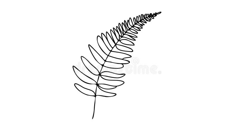 One Line Drawing Fern. Continuous Line Exotic Tropical Plant Stock ...