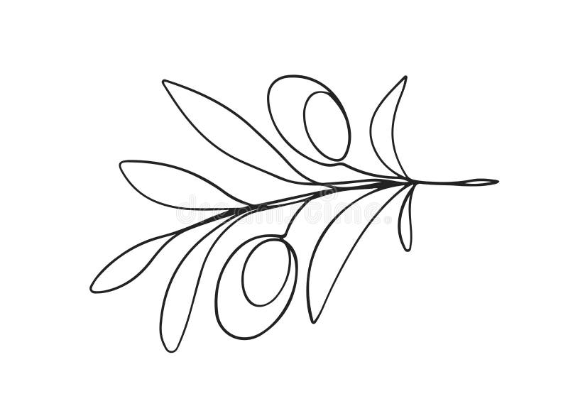 Single Line Drawing Olives Stock Illustrations 47 Single Line Drawing
