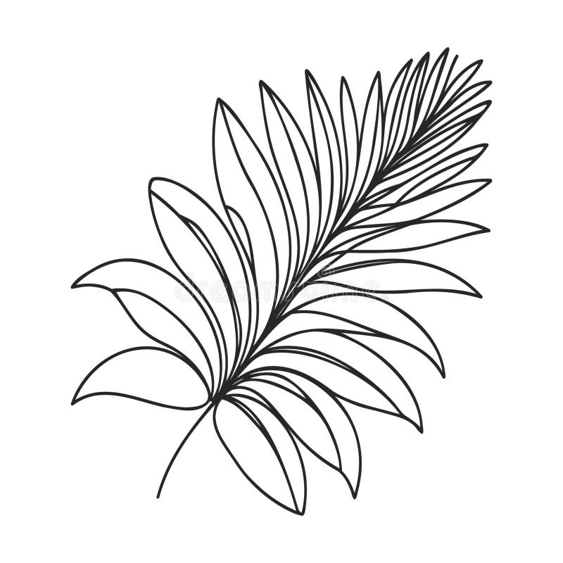 One Line Drawing of Palm Leaf. Outline Drawing. Minimalism Art. Vector ...