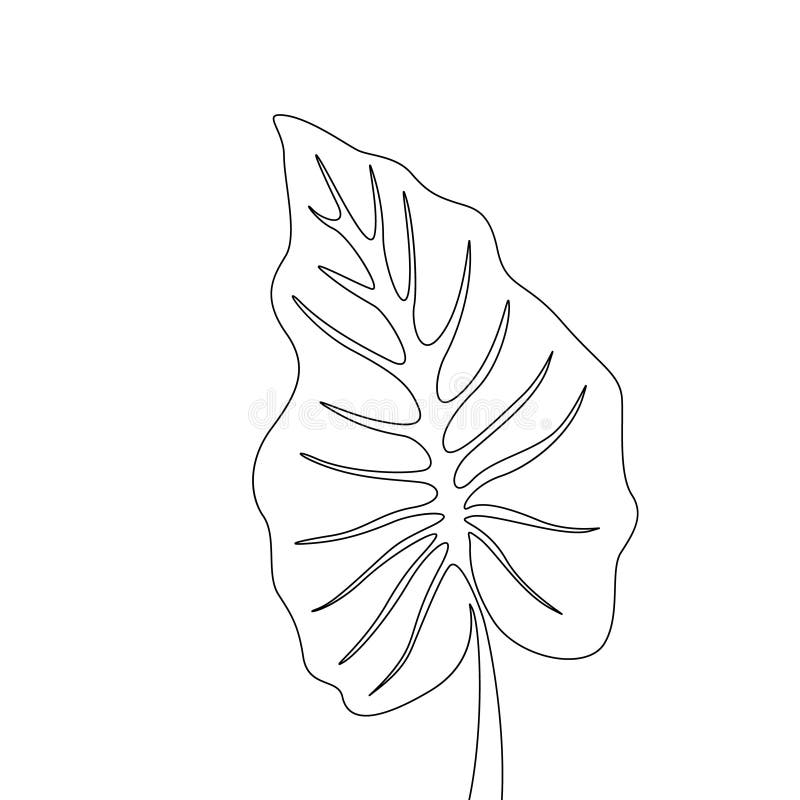 Line Philodendron Stock Illustrations – 1,587 Line Philodendron Stock ...