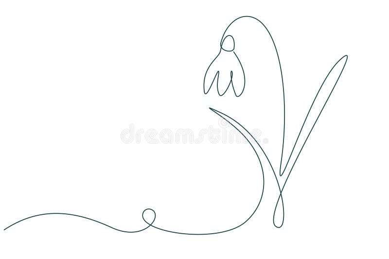 One Line Drawing of Snowdrop Stock Illustration - Illustration of grow ...