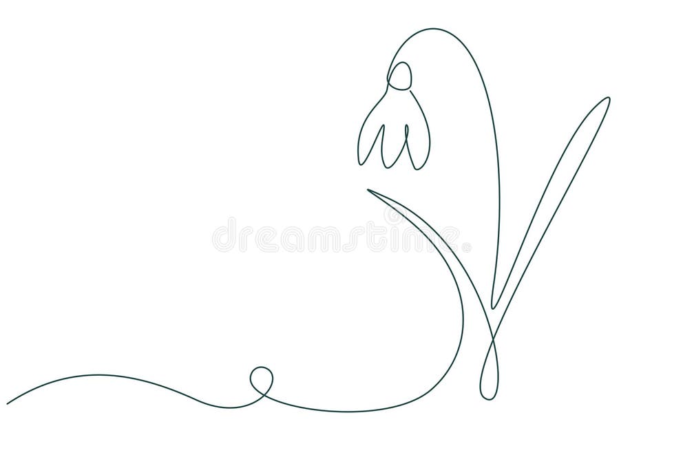 One Line Drawing of Snowdrop Stock Vector - Illustration of grow ...