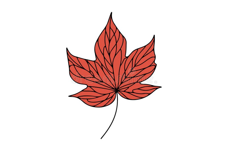 One Line Drawing of Spring Maple Leaf. Graphic Vector Illustration with ...