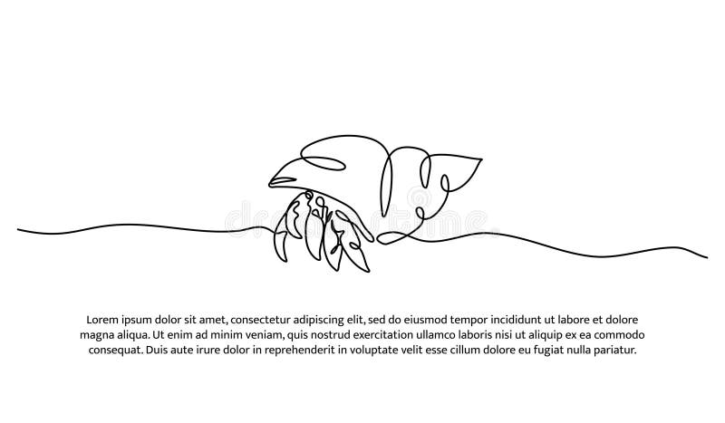 Hermit Crab Line Art Stock Illustrations – 111 Hermit Crab Line Art ...