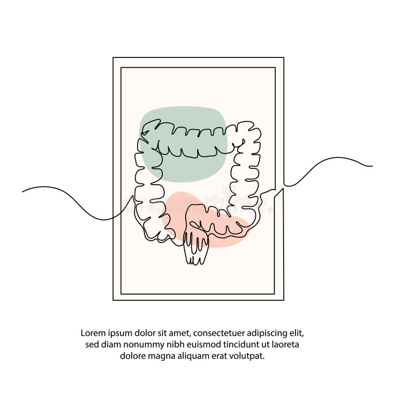 Doodle Digestive System Stock Illustrations – 454 Doodle Digestive ...