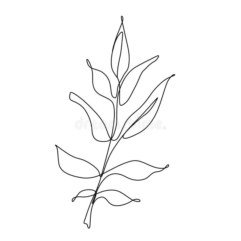 One Line Leaf Vector Drawing. Botanical Continuous Line Contour ...
