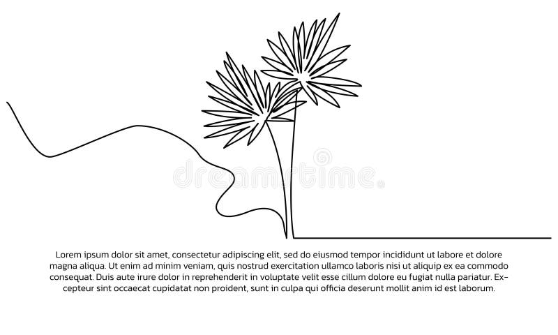 Palm Tree Frame Drawing Stock Illustrations – 9,540 Palm Tree Frame ...