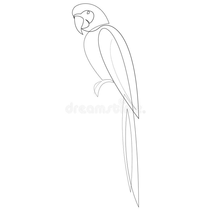 One Line Hand Drawn Rose. Long Stem Rose. Single Line Flower. Vector ...