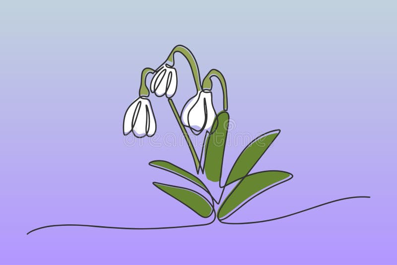 One Line Snowdrop Isolated on Blue Background. Vector Illustration ...