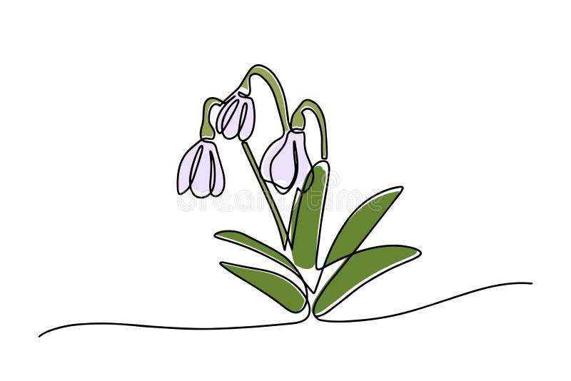 Snowdrop Flower Logo Stock Illustrations – 420 Snowdrop Flower Logo ...
