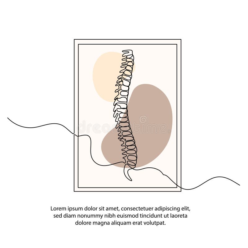 One Line Spine System Poster Drawing with Frame Stock Vector ...