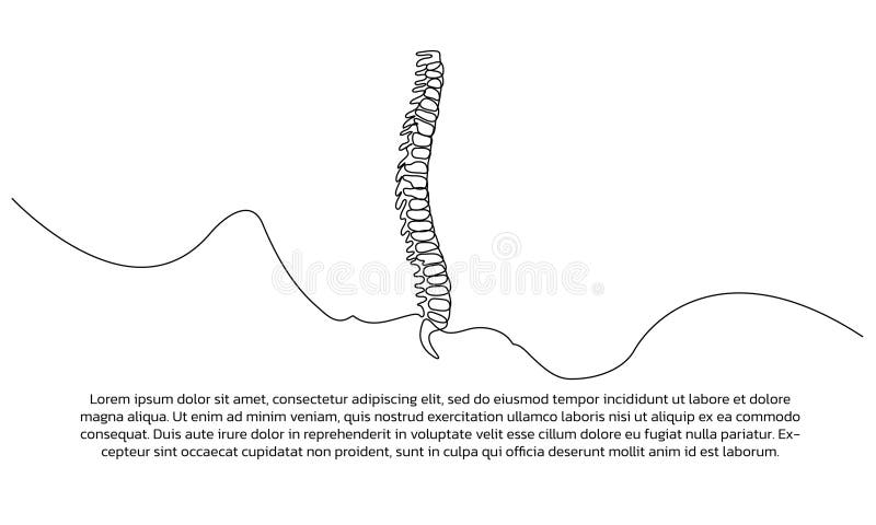 One Line Spine System Poster Drawing with Frame Stock Vector ...