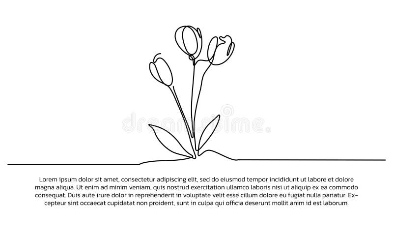 One Line Drawing Tulip Stock Illustrations – 919 One Line Drawing Tulip ...