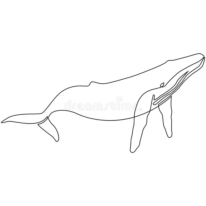 One Line Whale Design Silhouette. Hand Drawn Minimalism Style Vector ...