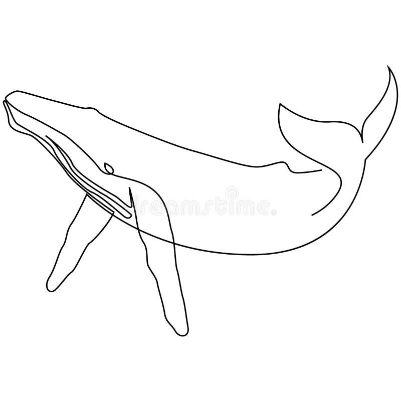 One Line Whale Design Silhouette. Hand Drawn Minimalism Style Vector ...
