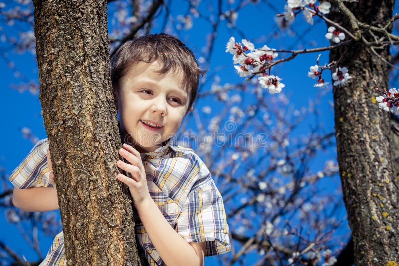 One Little Boy Sitting on a Blossom Tree. Stock Photo - Image of child ...