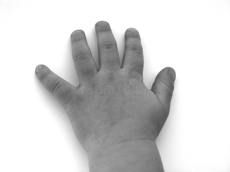 One Little Hand stock image. Image of closeups, hold, arms - 2923