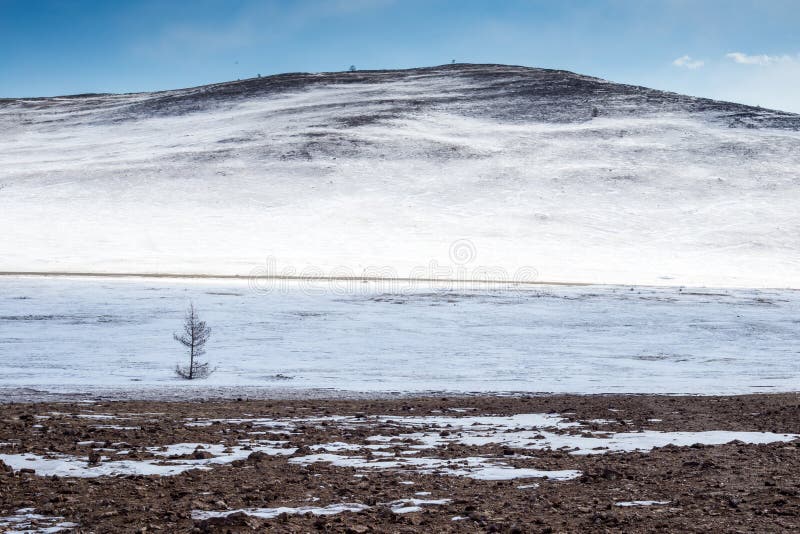 One Little Tree at Winter Mountains Background Stock Image - Image of ...